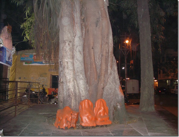 Blog of Abhishek Deshpande: Our Nashik Trip